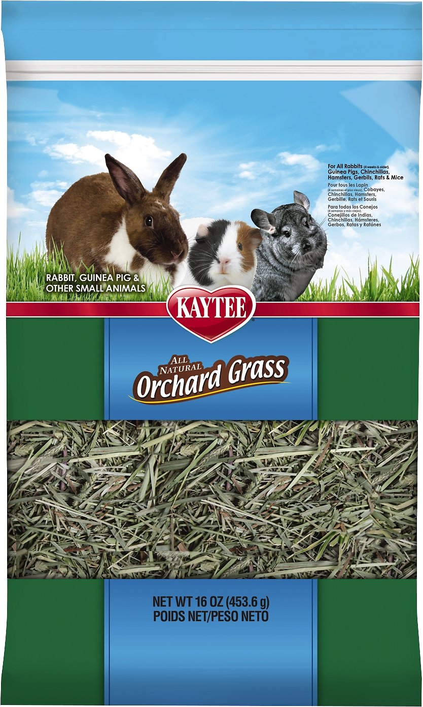 Kaytee Orchard Grass Hay Садове трав’яне сіно для гризунів – zvirshop.com